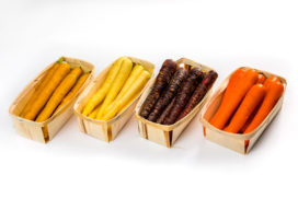Saisons et variétés de la carotte - Carottes de France